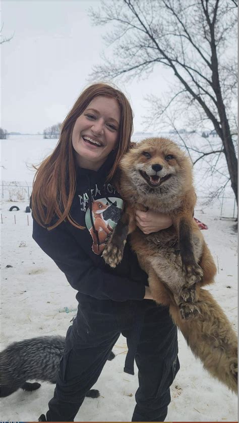 Saveafox Fox Pictures Cute Fox Happy Fox