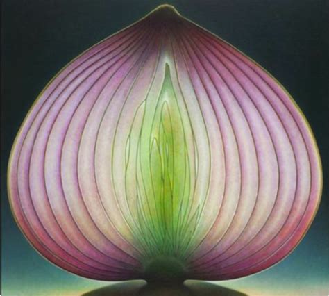 astounding ways how mathematics is a part of nature hubpages
