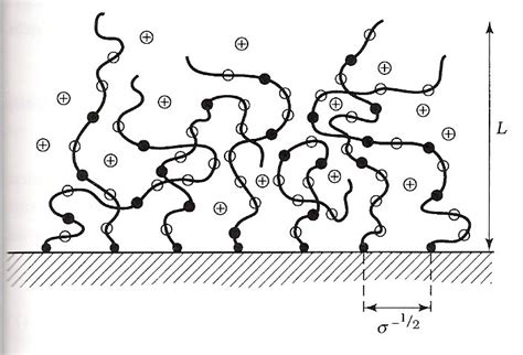 Schematic Representation Of The Configuration Of A Polyelectrolyte Download Scientific Diagram
