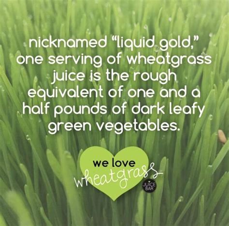 The Power Of Wheatgrass Boost Your Energy With Chlorophyll