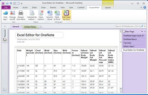 OneNote Gem Excel Editor Office OneNote Gem Add Ins