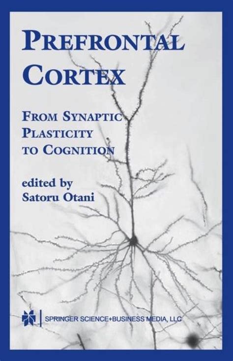 Prefrontal Cortex 9781441954350 Satoru Otani Boeken Bol