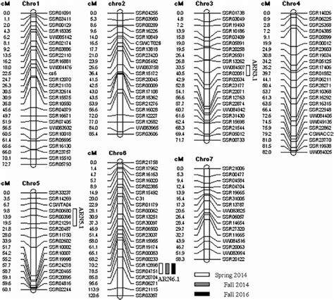 Construction Of A Simple Sequence Repeat Linkage Map And Chromosomal Download Scientific