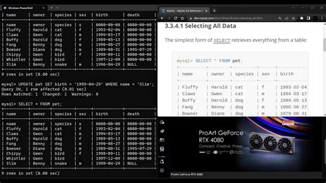Selecting All Data Retrieving Information From A Table Mysql Youtube