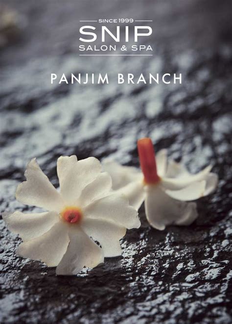 Snip Spa Salon At Calangute Best Salon And Spa