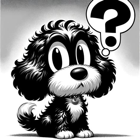 Understanding Query Monitor Essential Debugging Tool Wpwizardguide
