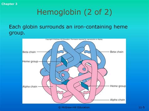 Human Genetics Concepts And Applications Ppt Download