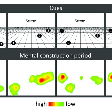 Eye Movement Results Heat Maps Of The Fixation Count During The 9 S