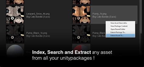 Unity Assets Manager Pro