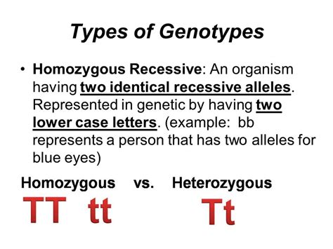 Homozygous Example