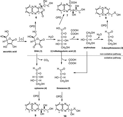 Scheme 1 Oxidative And Non Oxidative Degradation Pathways Of Dha 1