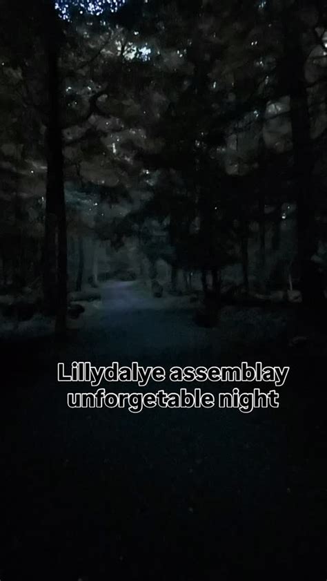 Jon Furtado Medium Jonfurtadomedium • Instagram Photos And Videos