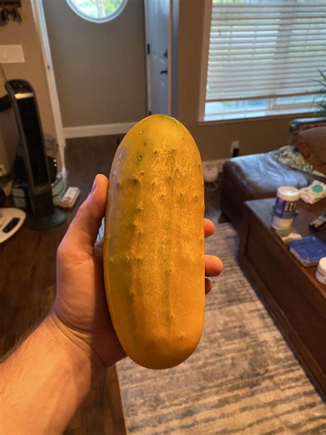 Absolute Unit Of A Cucumber 🥒 R Absoluteunits