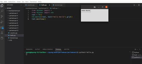 modul 10 pertemuan 12 socket programming — gui dengan python by