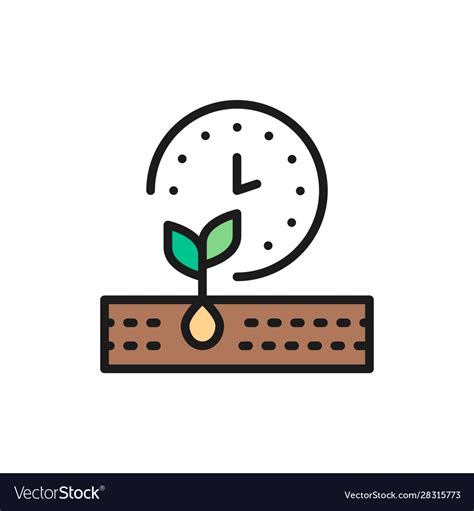 Plant Ripening Period Seed Planting Agriculture Vector Image