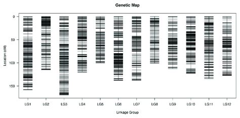 Specific Locus Amplified Fragment Sequencing Slaf Polymorphism