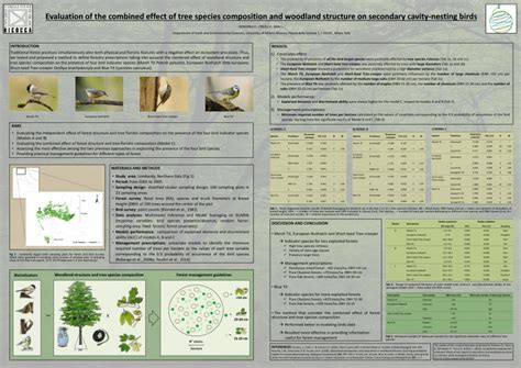 PDF Evaluation Of The Combined Effect Of Tree Species Composition And Woodland Structure On