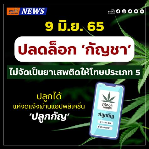 วันที่ 9 มิถุนายน 2565 ‘พืชกัญชา ไม่จัดเป็นยาเสพติดให้โทษในประเภท 5