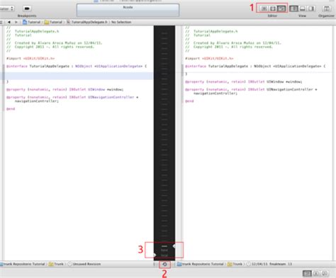Tutorial Svn Xcode 4 Blog Informáticos Murcia