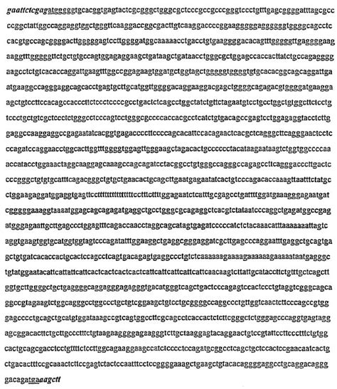 Celulas Hospedadoras Que Expresan Eritropoyetina Humana…
