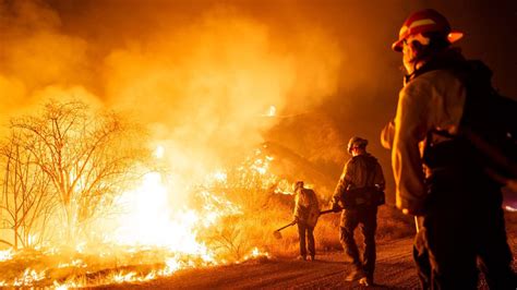 Броят на жертвите на горските пожари в Турция расте Новини бг
