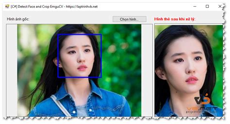 C Hướng Dẫn Detect Face And Crop Image Sử Dụng Emgucv Trong Lập Trình Winform