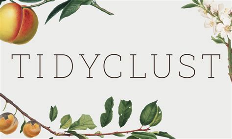 Tidyclust Expanding Tidymodels To Clustering