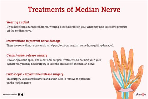 Median Nerve Human Anatomy Image Functions Diseases And Treatments