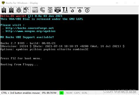 【linux 0 11 学习记录】一、环境配置，用bochs输出hello world linuxbochs csdn博客