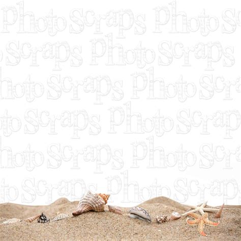 Shell Border Photo Scraps