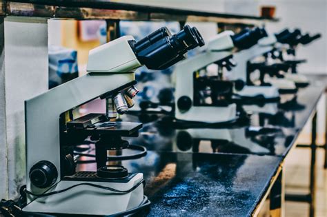 Best Microscopes For The Classroom Microscopes That Are Great For School