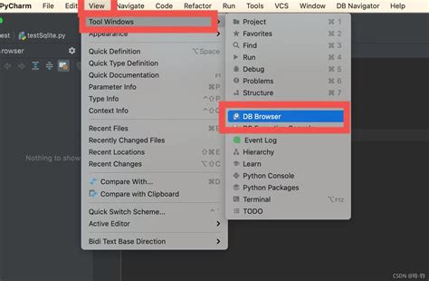 pycharm中没有找到database的解决方法如下 pycharm database CSDN博客