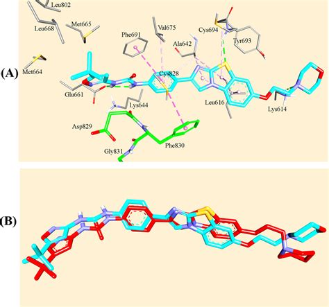 Crystallographic Versus Docked Poses Of Quizartinib A Docked Pose Of