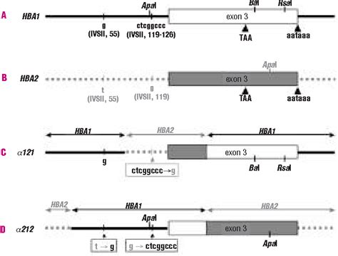 Figure 2 From Determining The Cause Of Patchwork Hba 1 And Hba 2 Genes Recurrent Gene