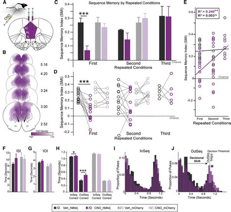 Mpfc Cortex Is Needed For Sequence Memory A Aav9 Hm4di Was Injected Download Scientific