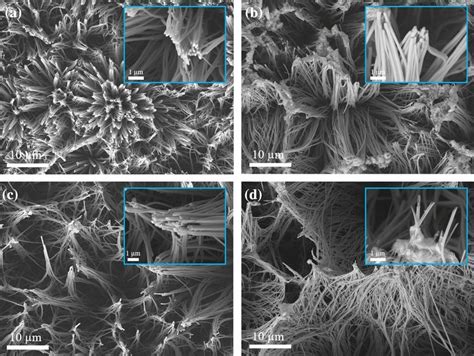 Sem Micrographs Of Samples Anodized At 10 V For A 10 Min B 20 Min