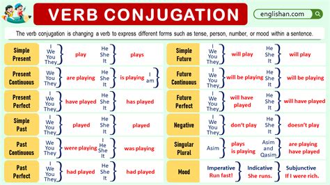 Verb Conjugation In English With Examples • Englishan