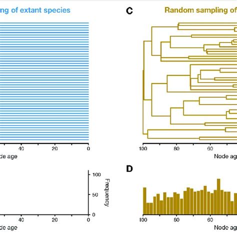 Simulation Of Phylogenetic Trees A One Out Of 20 Diversified Trees Download Scientific