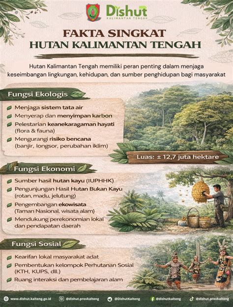 🌳 Fakta Singkat Hutan Kalimantan Tengah 🌳 Dinas Kehutanan