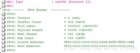 Ipv6报头解析：type与next Header字段 Csdn博客