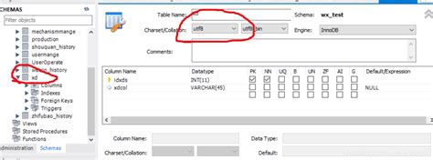 Mysql Workbench关于mysql中 Error Code 1366 Incorrect String Value Xe5