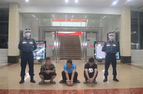 485吨走私冻品凌晨被海警拦截 案值约4000万元新闻频道央视网