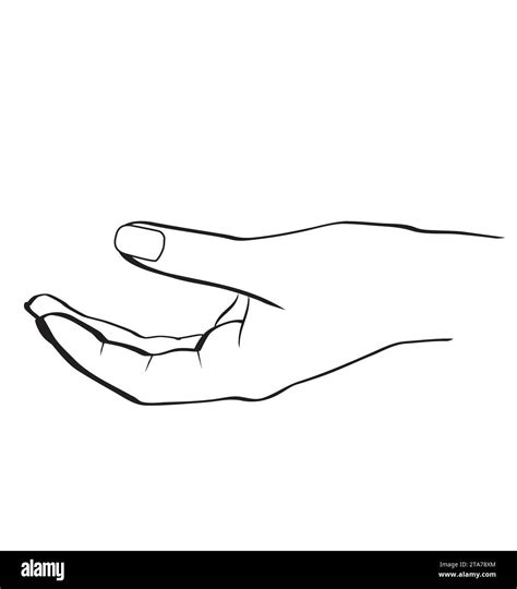 Template Of A Drawn Hand That Could Hold Something Stock Vector Image And Art Alamy