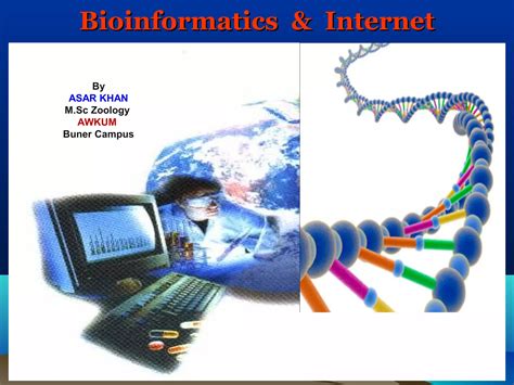 An Introduction To Bioinformatics And Internet Ppt