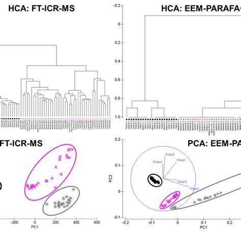 Principal Component Analysis And Hierarchical Cluster Analysis Of The Download Scientific