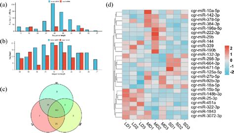 Overview Of Small Rna Sequencing And Different Expression Profiles Of
