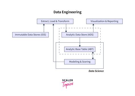 Differences Between Data Mining Data Science And Data Engineering Scaler Topics