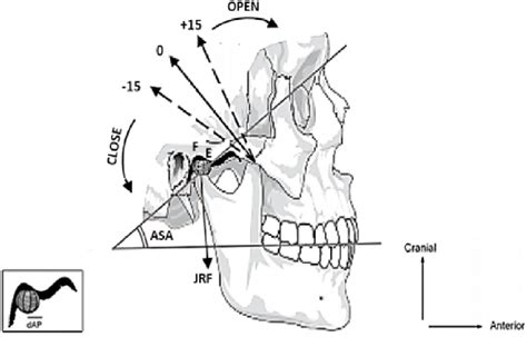 Model Adapted And Modified From The Graphical Representation Of The Download Scientific Diagram