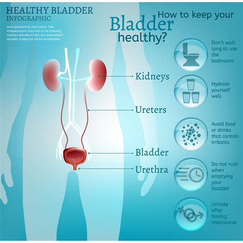 Pin On Kegel Exercise