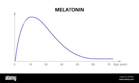 Melatonin Dependence On Age In The Human Body Illustration Melatonin